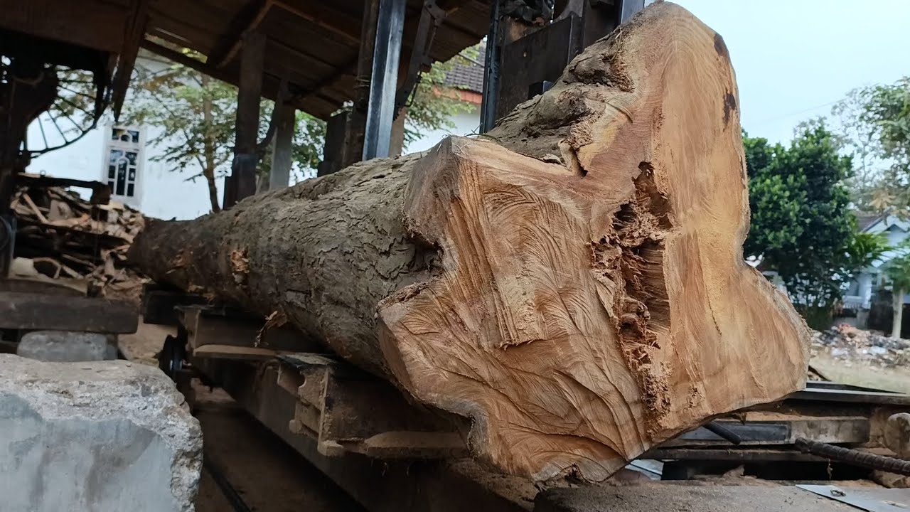 The moment a large log hits the saw blade at the sawmill - YouTube