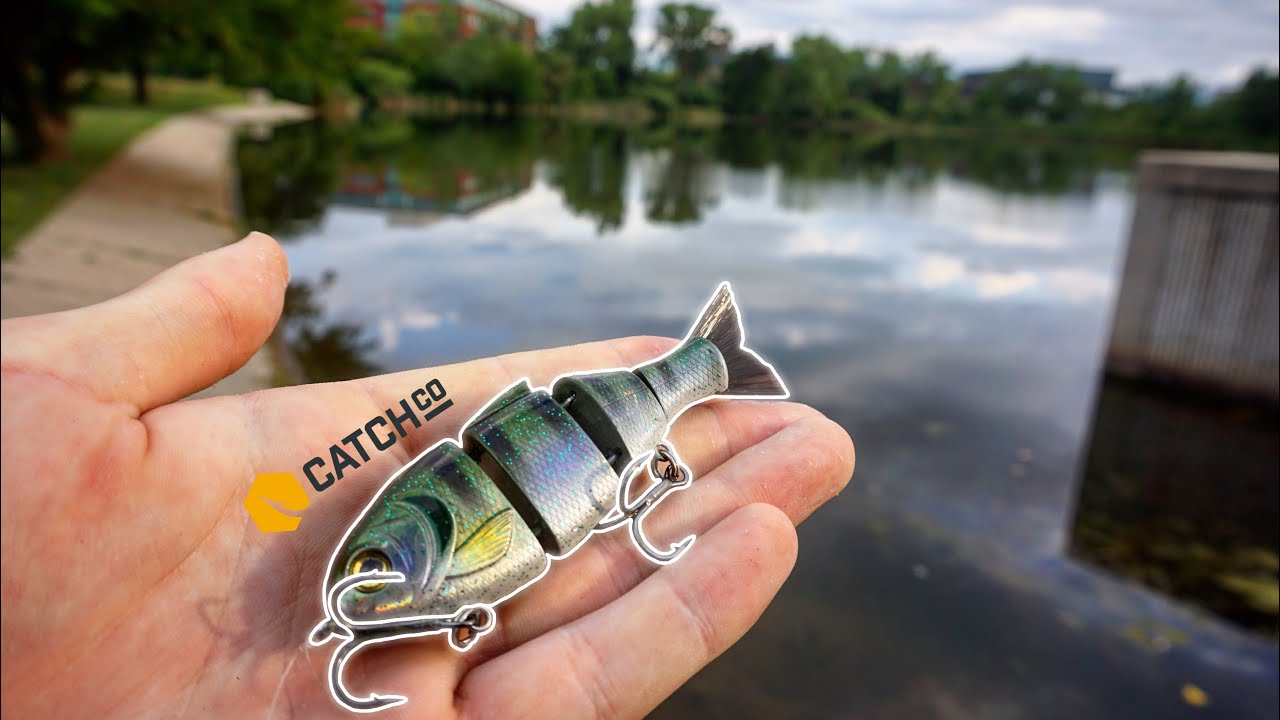 Fishing the BRAND NEW Legendary MINI SWIMBAIT!--Crazy Bites!! - YouTube