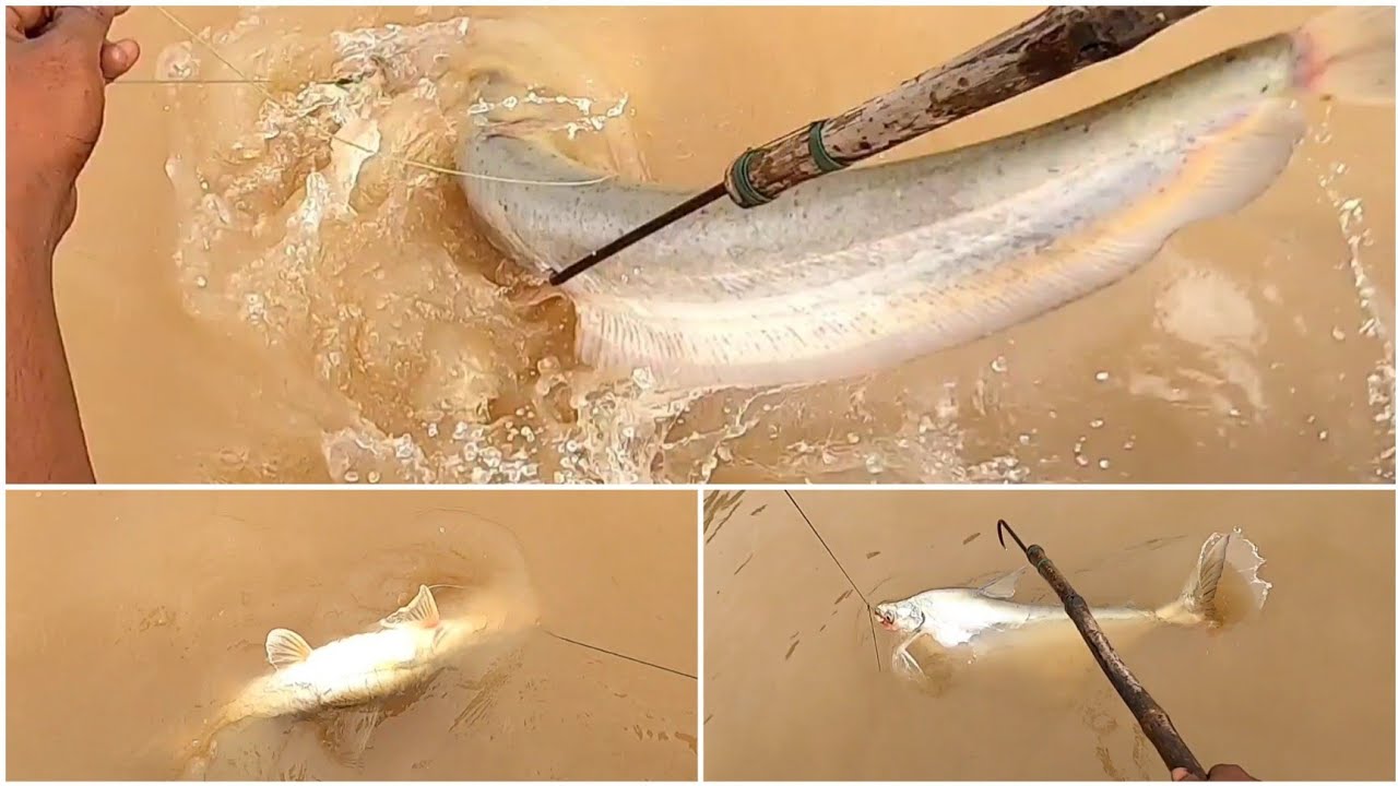 Cilen fish & Big Lachi Boat Fishing video #MKfishing #Hookfishingvideos ...