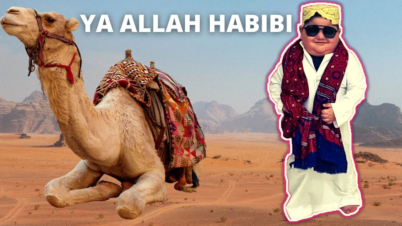 Habibi Style 😎🇦🇪 | Haim & Parishay Khan | VLOG 40 - YouTube