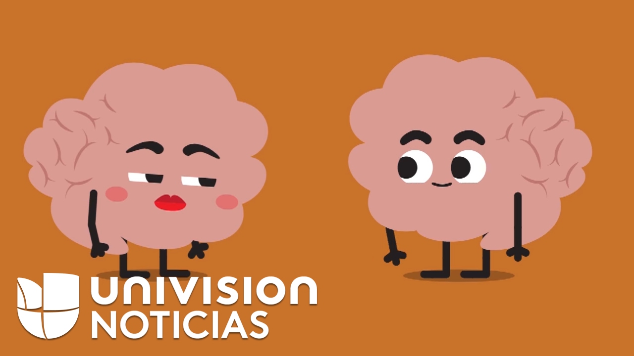 Esto es lo que pasa con tu cerebro cuando estás enamorado - YouTube
