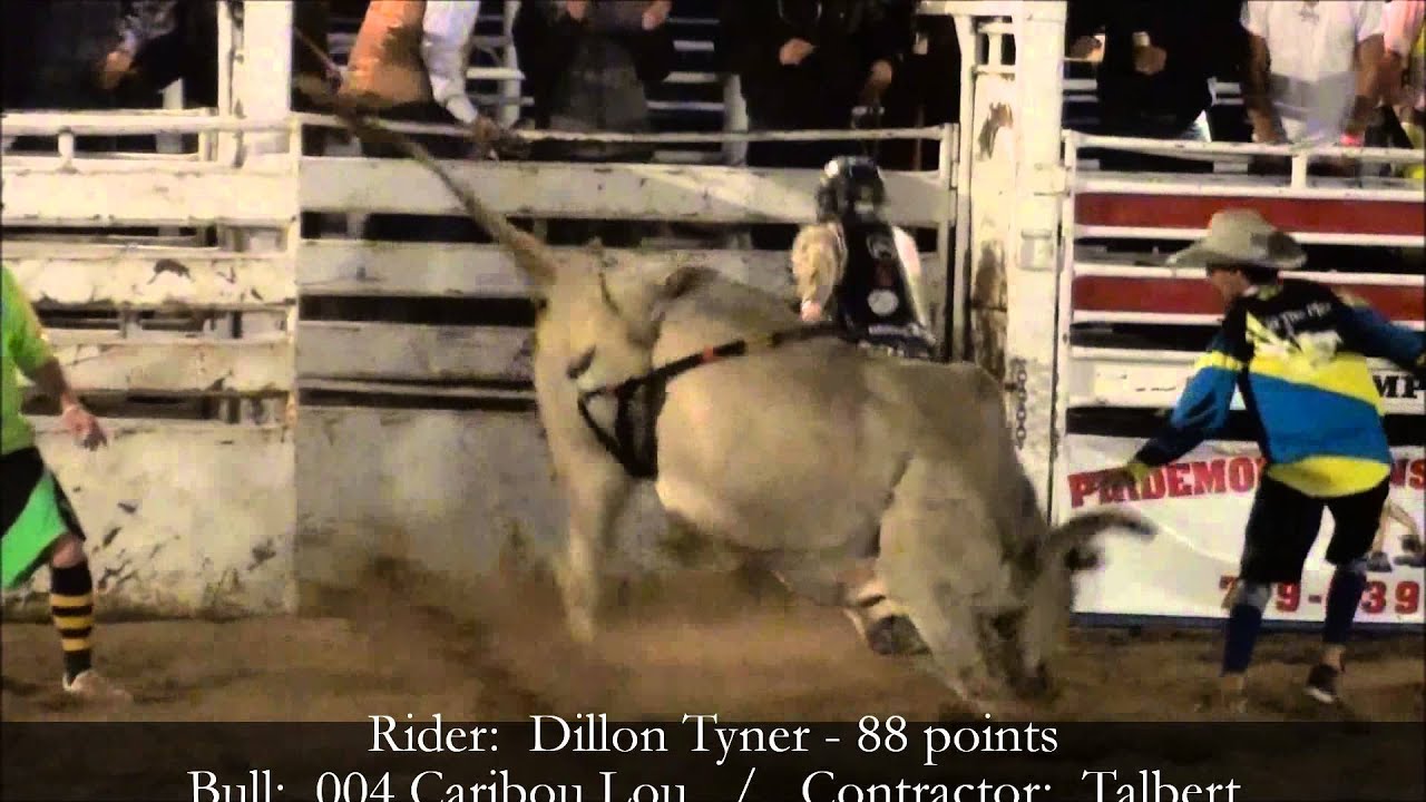 2015 Buena Vista Bull Riders Showdown: 1st Place Ride - YouTube