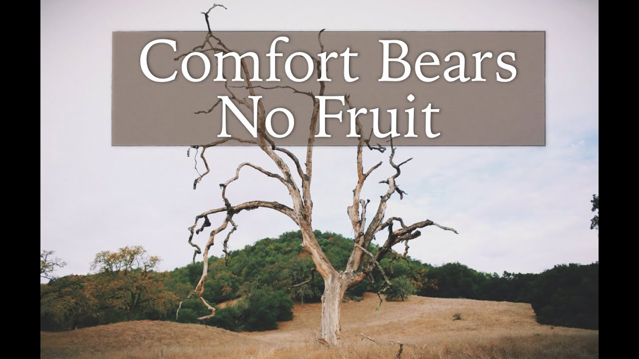 Fr. Marc Cramer - Comfort Bears No Fruit - YouTube