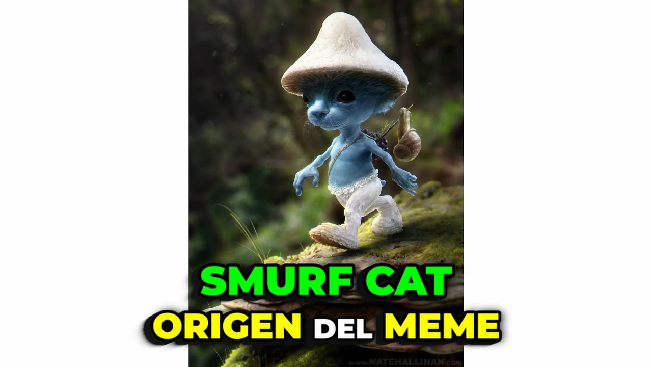 SMURF CAT ORIGEN del MEME La Historia Detrás del Gato Pitufo y Cómo ...