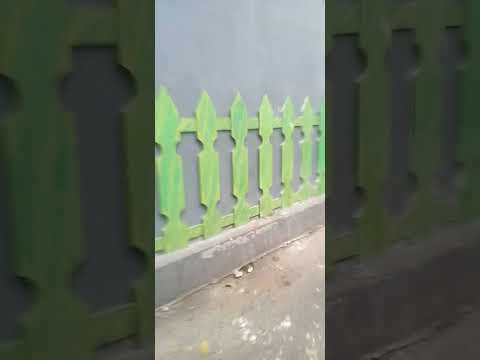 BIBI MONTOK PERUTNYA MEMBESAR SAYANG 