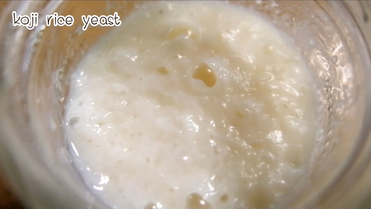 56 👩🏻‍🍳🇯🇵 kojiriceyeast ปุดๆปุ๋งๆ ยีสต์ข้าวโคจิ sakadane ยีสต์ธรรมชาติ 🌾🍞 - YouTube