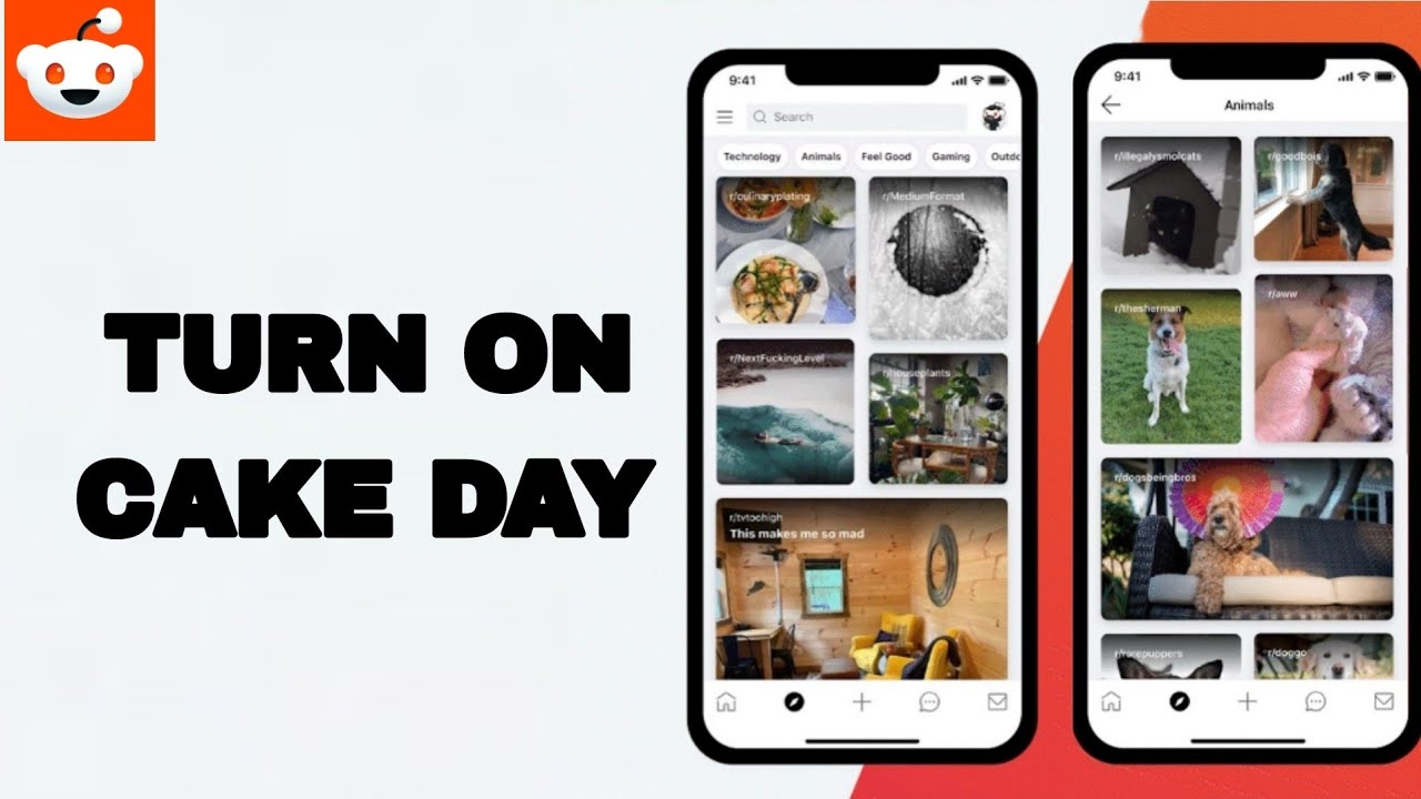 How To Turn On Cake Day On Reddit App - YouTube