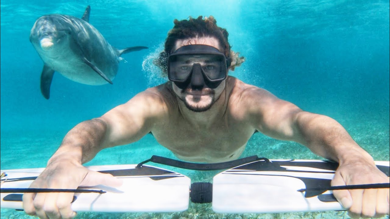 AMAZING Swimming with wild Dolphins! - YouTube