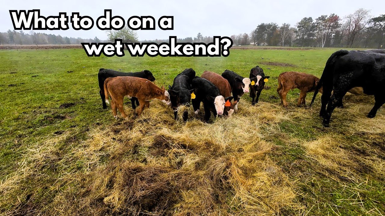 What to do on a wet weekend? - YouTube