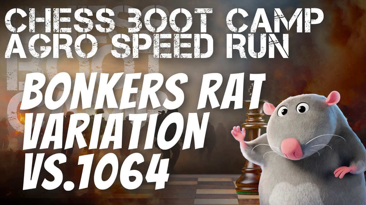 Bonkers Rat Variation vs.1064 - YouTube