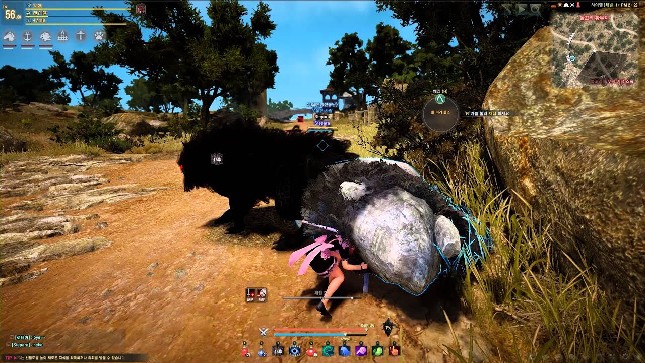 Black Desert Online Mediah Adventures My Picky Horse - YouTube