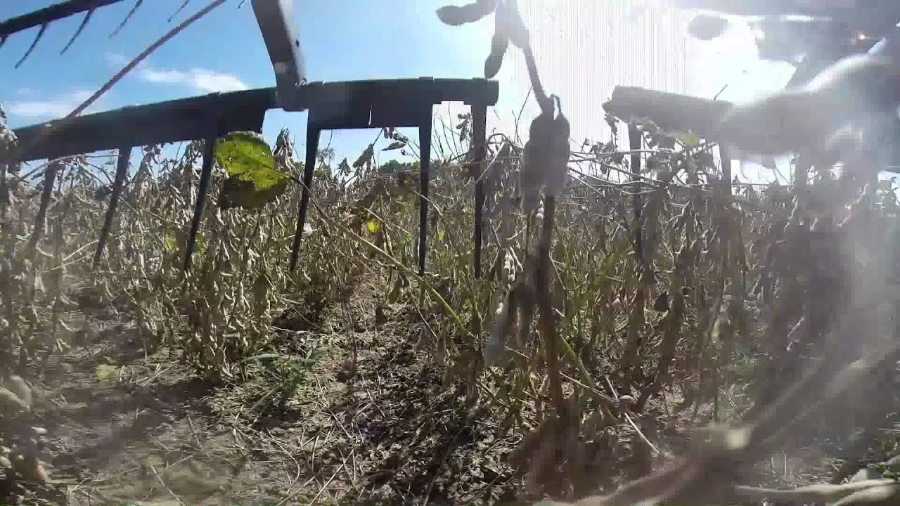 Olsen Custom Farms Arkasas Combine 2014 - YouTube