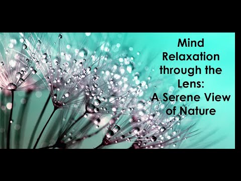How to Relax Your Mind and Body? Mind Relaxation through the Lens: A ...