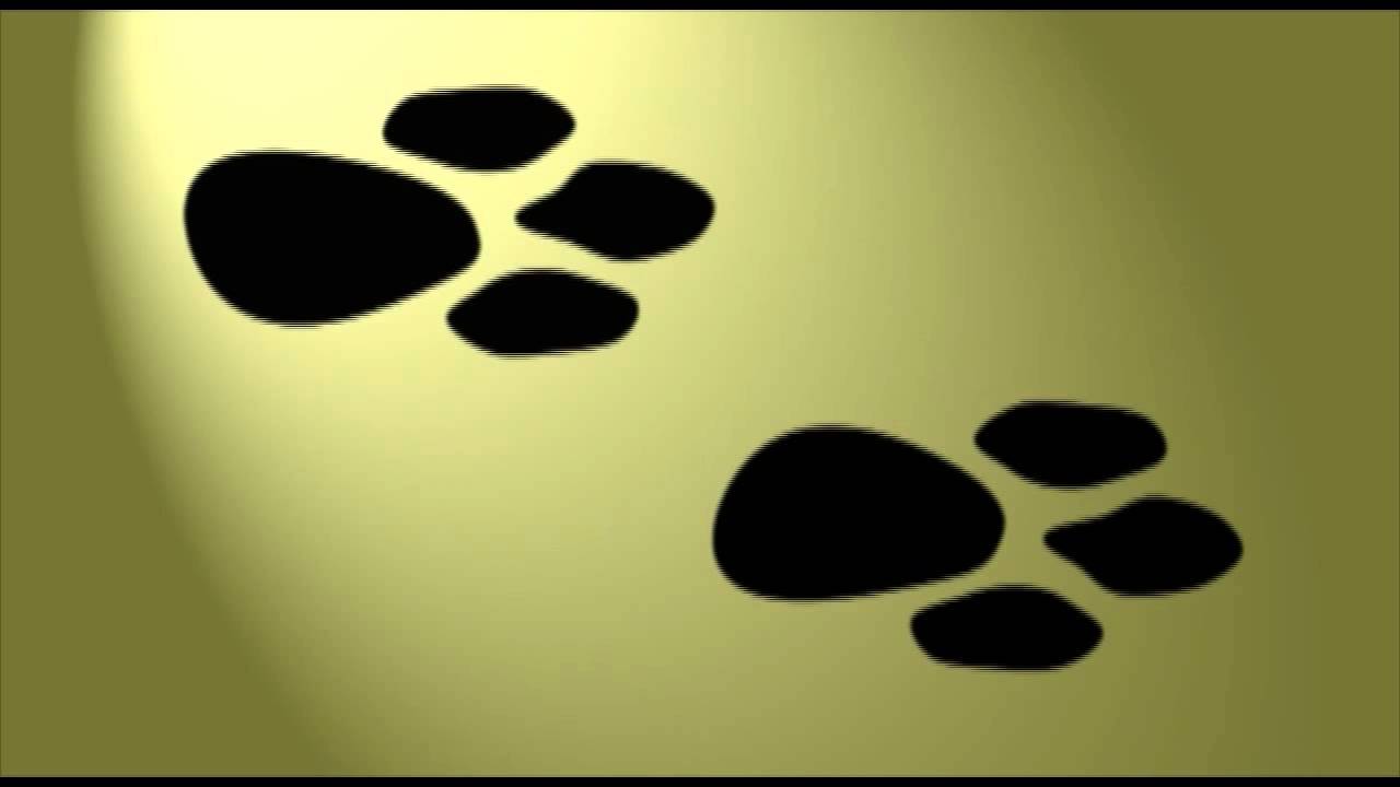 Happy Birthday - Lady Aqua - YouTube Music