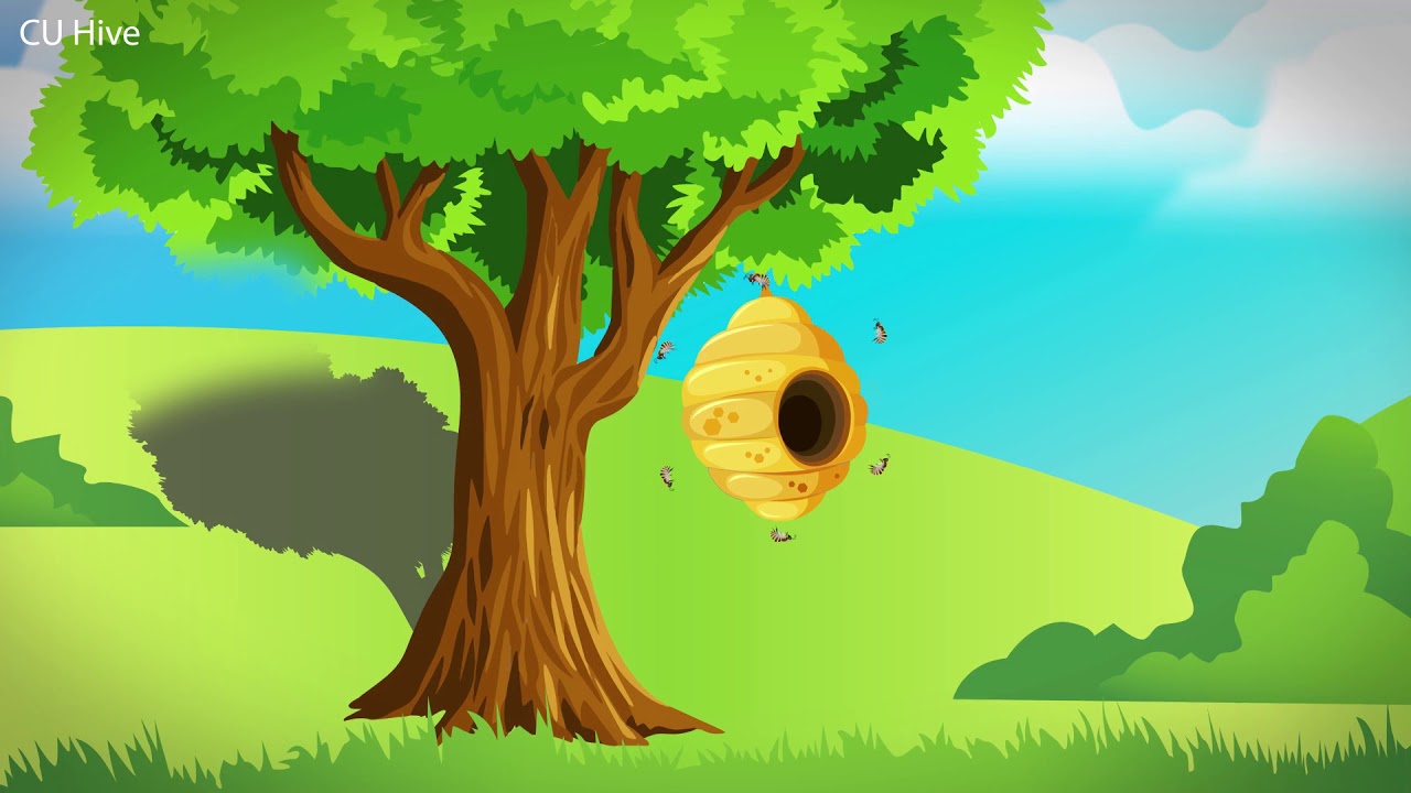 CU Hive Animation - YouTube
