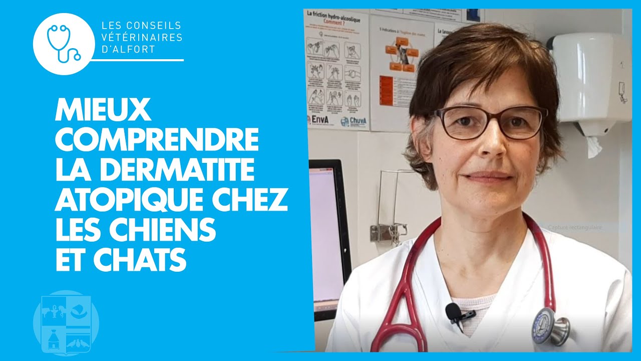 Mieux comprendre la dermatite atopique chez les chiens et chats - YouTube