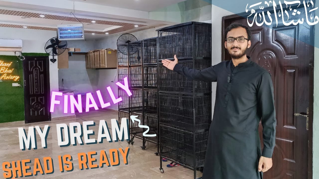Finally !! My Dream Love Bird Setup Is Ready | Shani Bhai Aviary - YouTube