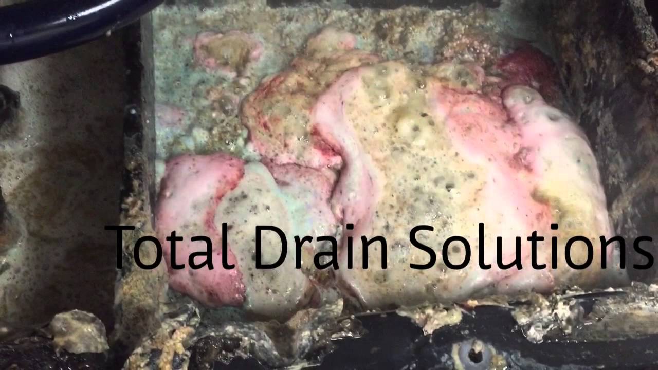 Shocking a Grease Trap before introducing Live Bacteria for removing ...
