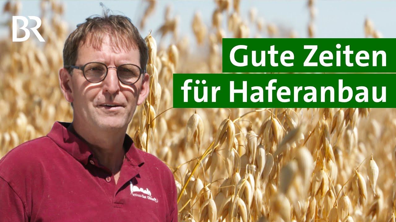 Bio-Hafer-Anbau | Republish | Unser Land | BR Fernsehen - YouTube