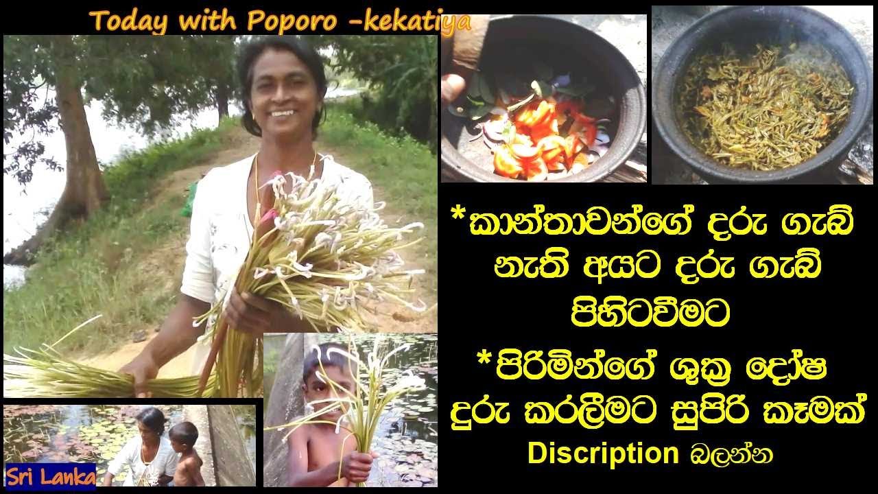 Removes impotence and sperm defects/කාන්තාවන්ට/පිරිමින්ට නොමසුරුව ...