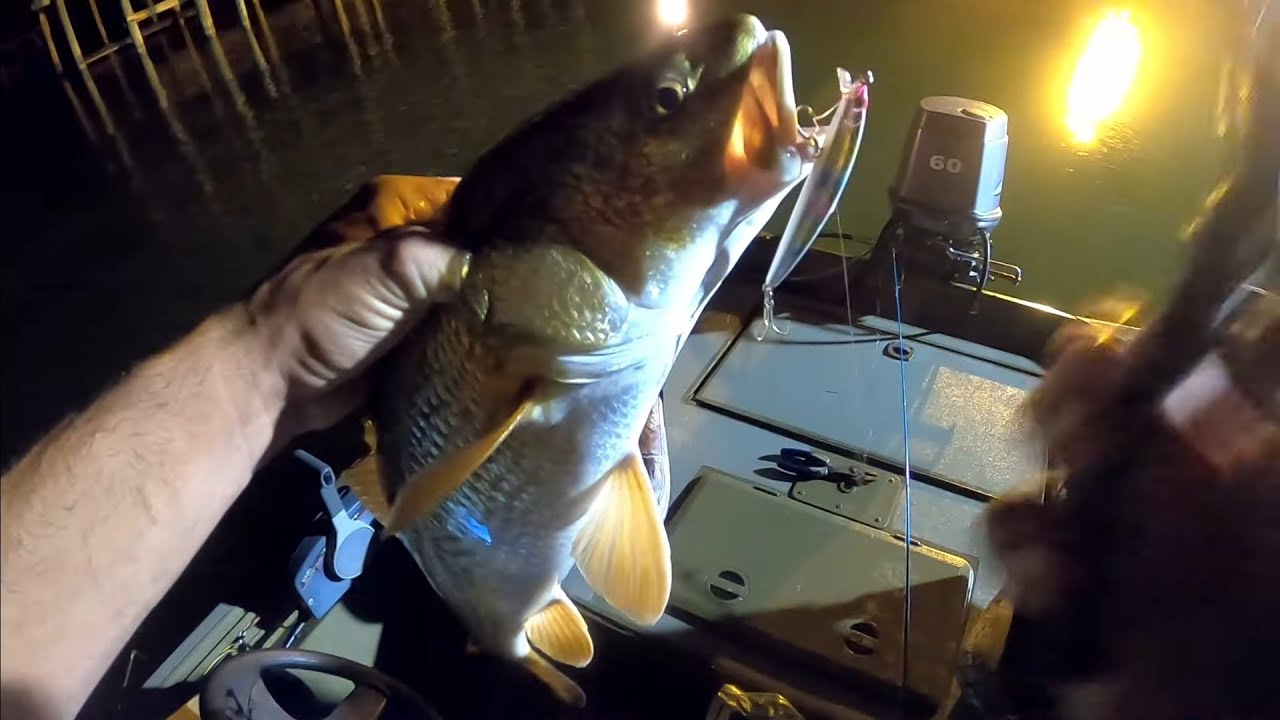 Epic redfish eating lure in lights! (These reds are tanks!!) - YouTube