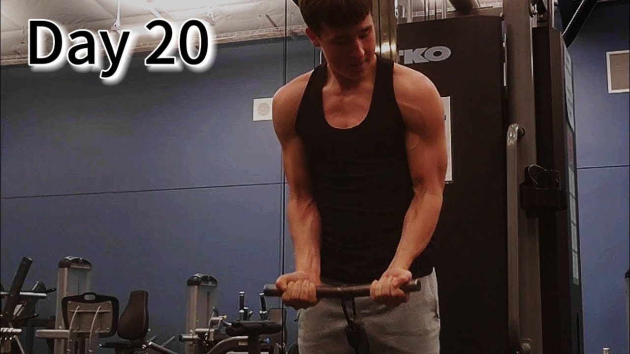 Day 20 Getting Shredded Arms | Back - YouTube