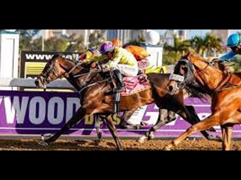GREYVILLE POLYTRACK LIVE HORSE RACING INVESTMENT ENGINE - YouTube