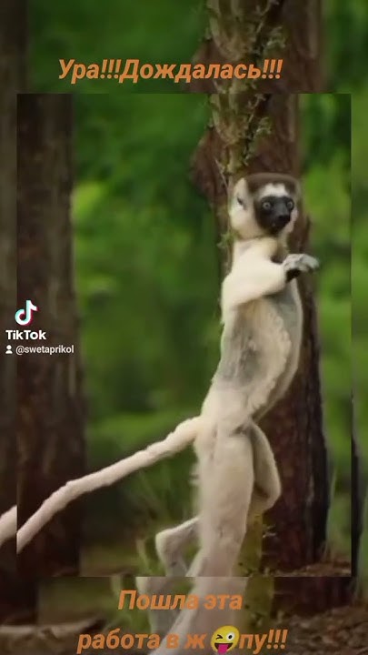 Наступил долгожданный отпуск.Ура отпуск!!!)#отпуск#радость #лето# ...