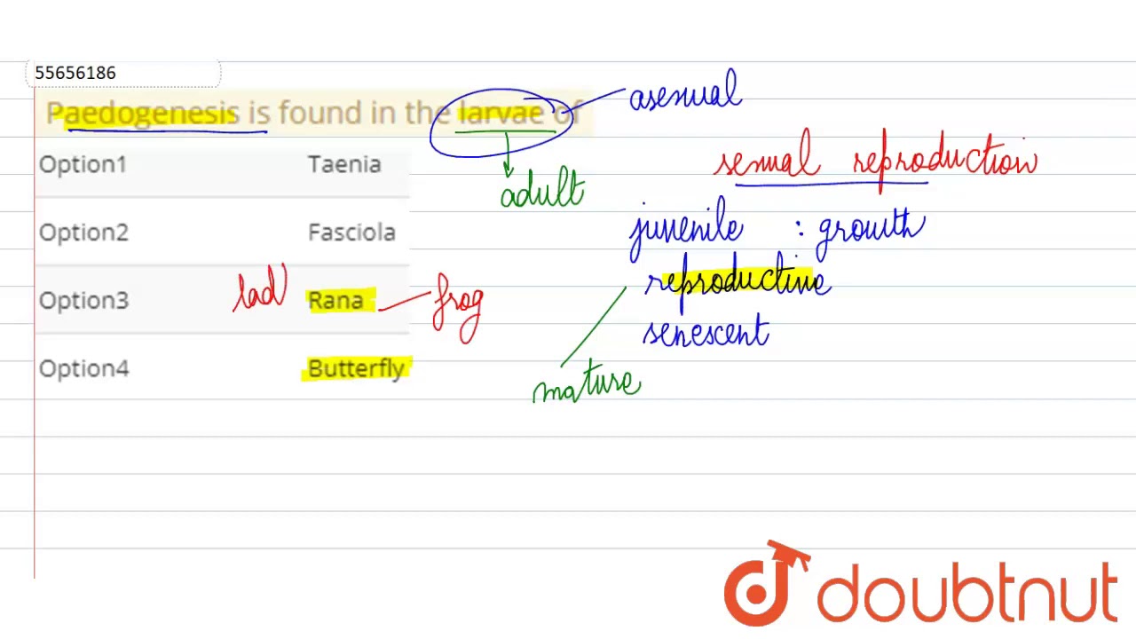 Paedogenesis is found in the larvae of - YouTube