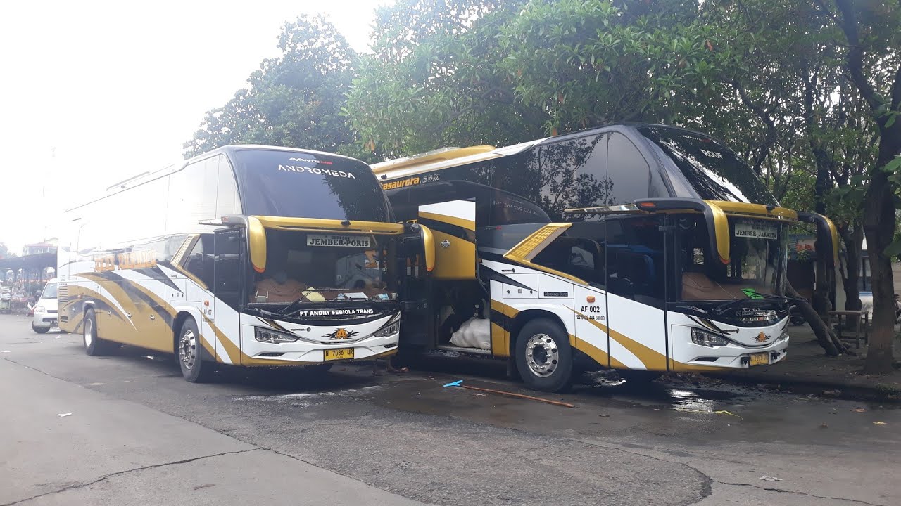 Ingin ke Jember dari Tangerang ? AKAS AURORA pilihan yang tepat.. - YouTube