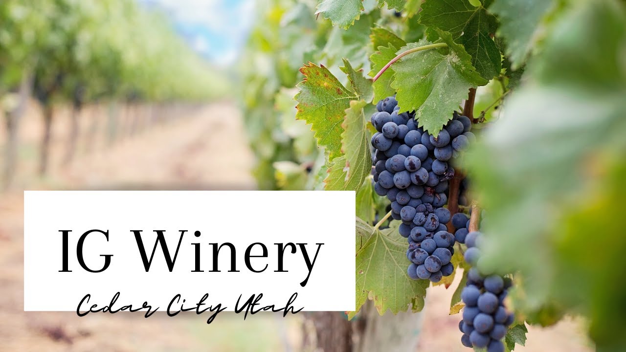 Utah Winery | Cedar City's IG WINERY.. The Best!! - YouTube