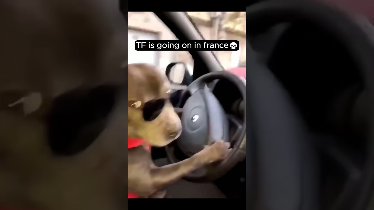 Memes to send brodi at 3am v3#memes - YouTube