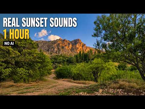 1 Hour of Real Sunset Nature Sounds | Evening Ambience in Pisidia, Türkiye (No AI)