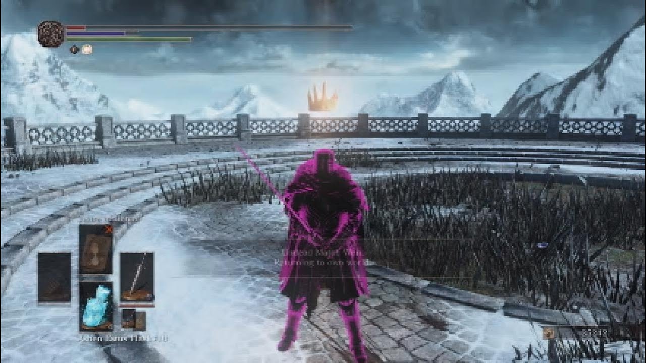 Ds3 - Parry Kings - YouTube