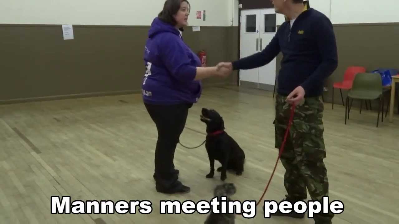 Koukla - Miniature Schnauzer Puppy - 7 Day Dog Boot Camp with ...