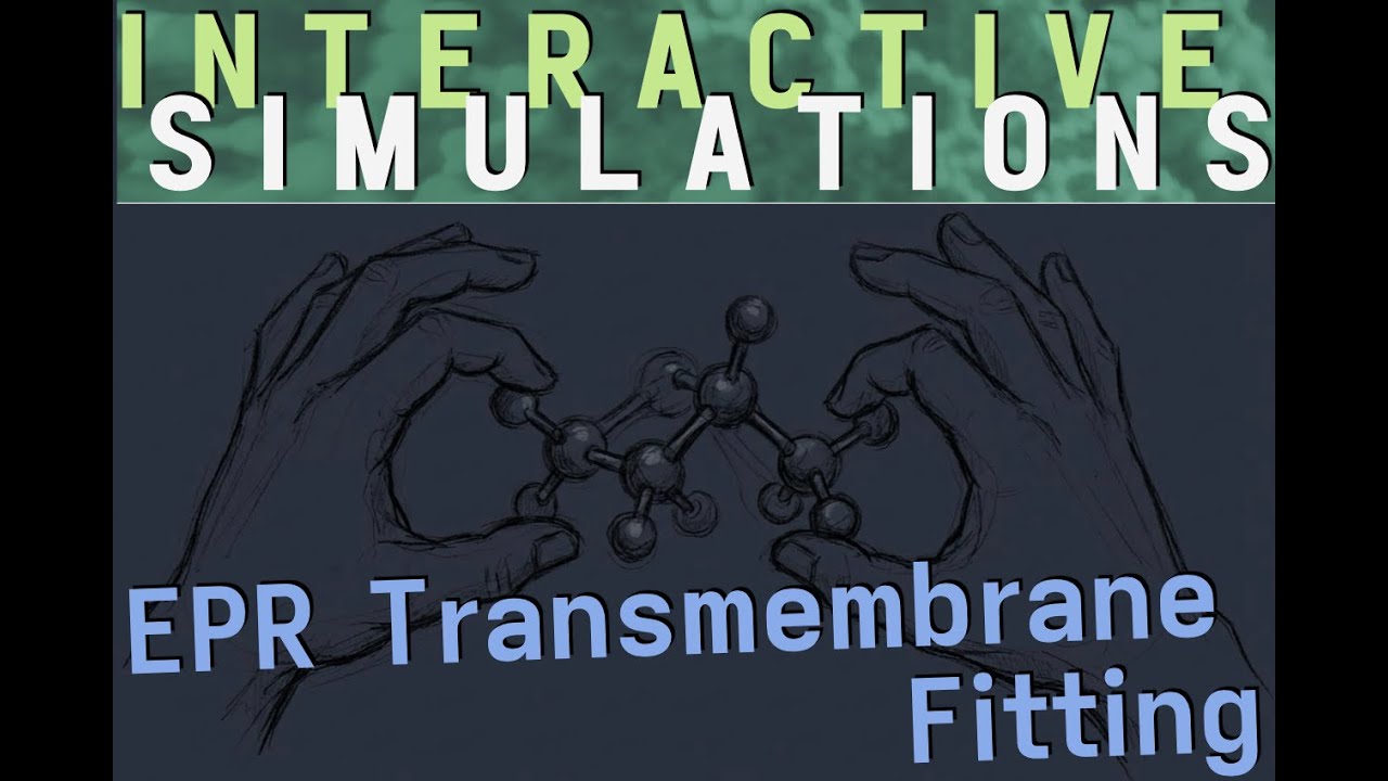 SNARE bundle anchoring within a moving implicit double UNILIPID membrane with dynamic insertion ...