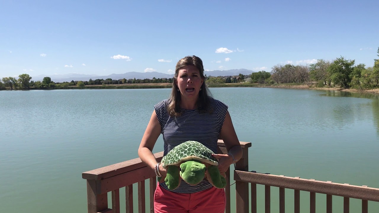 Wendy Pickering ITMI Tour Director Intro - YouTube