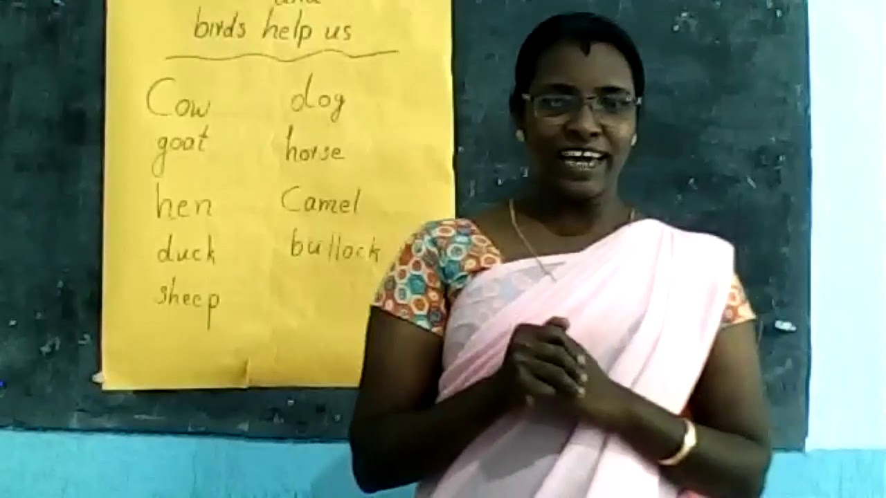 STD : LKG || EVS || TOPIC || DOMESTIC ANIMALS AND BIRDS HELP US || by ...