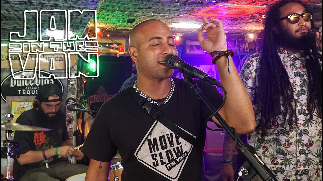 ITAL VIBES - "Dancehall Behavior" (Live at Reggae On The Mountain in ...