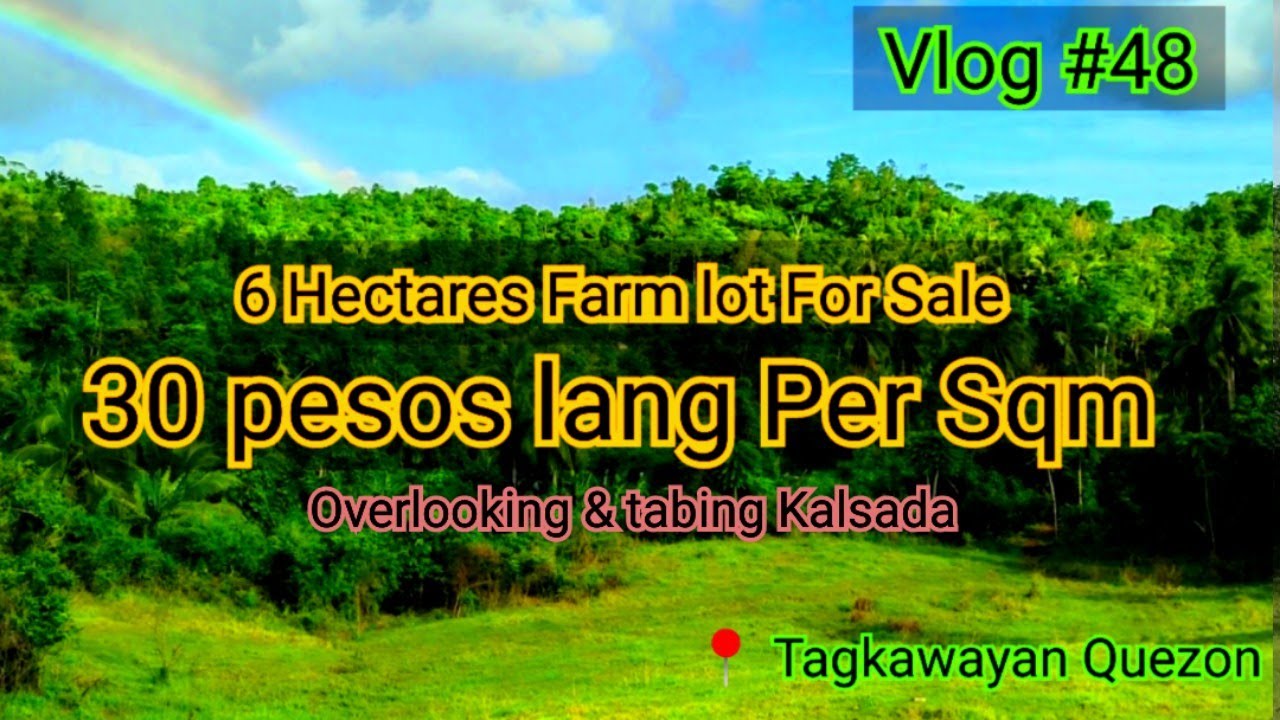  Vlog 48 6 Hectares Overlooking Farm Lot Forsale YouTube
