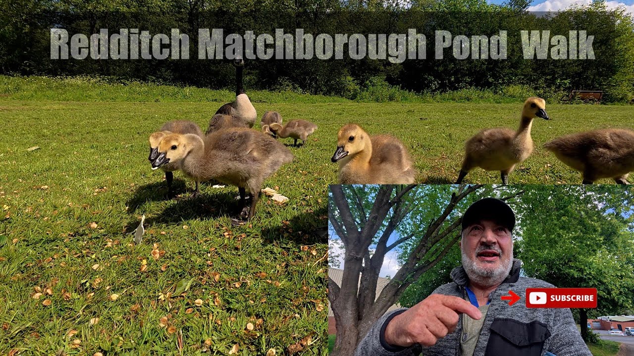 Redditch Matchborough Pond Walk - YouTube