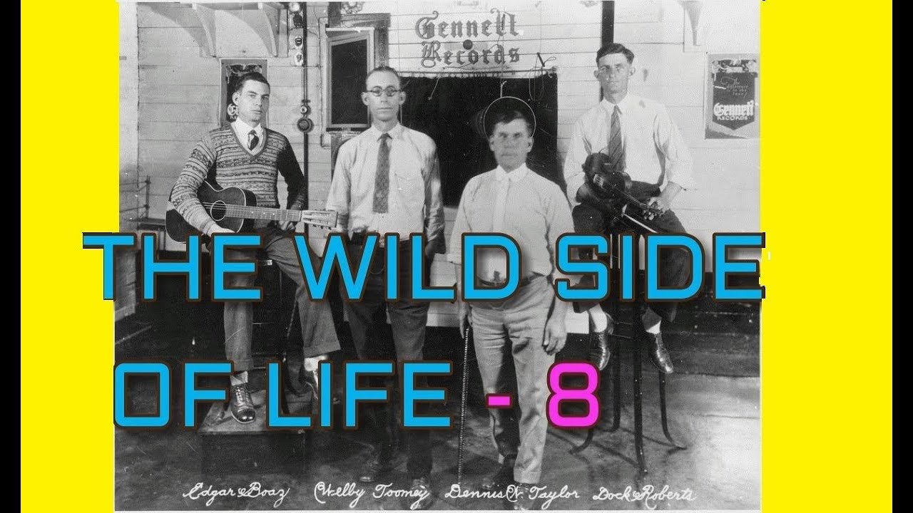 THE WILD SIDE OF LIFE - 8 - YouTube