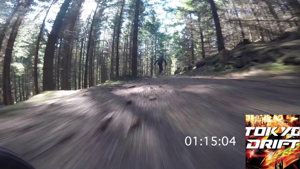 SPEED RUN IN THE WOODS!! - YouTube