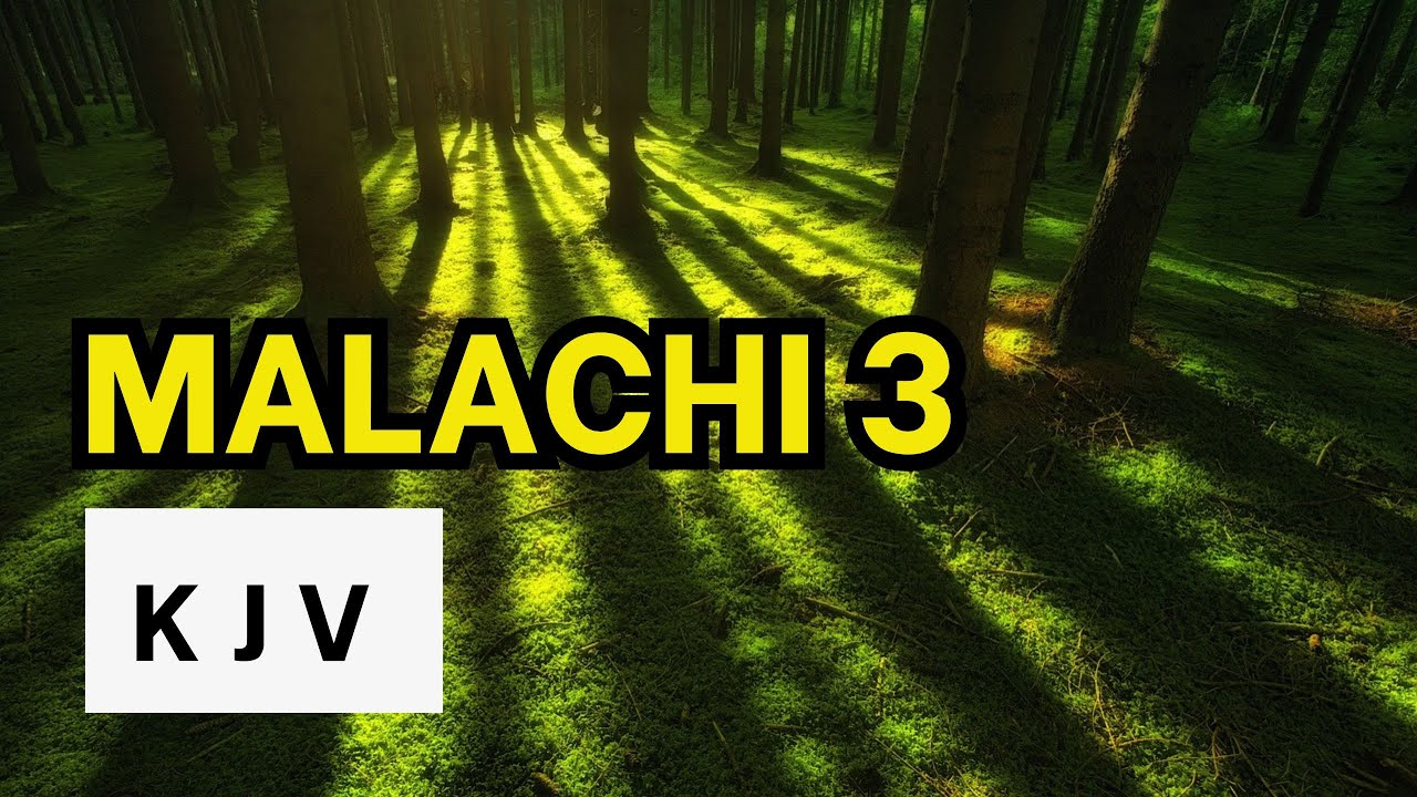 Malachi 3 | Breaking Covenant by Withholding Tithes | KJV Audio Bible ...