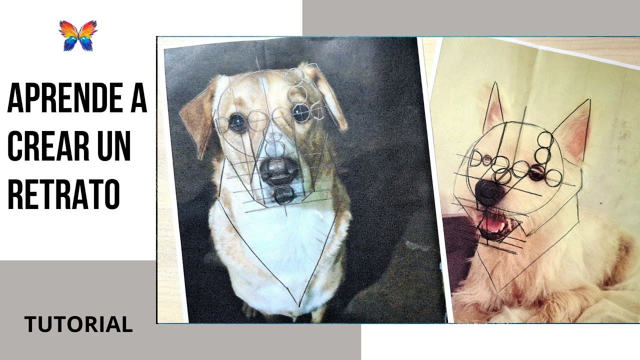 Cómo hacer un RETRATO de un PERRO / Tutorial Nº1 para PRINCIPIANTES ...