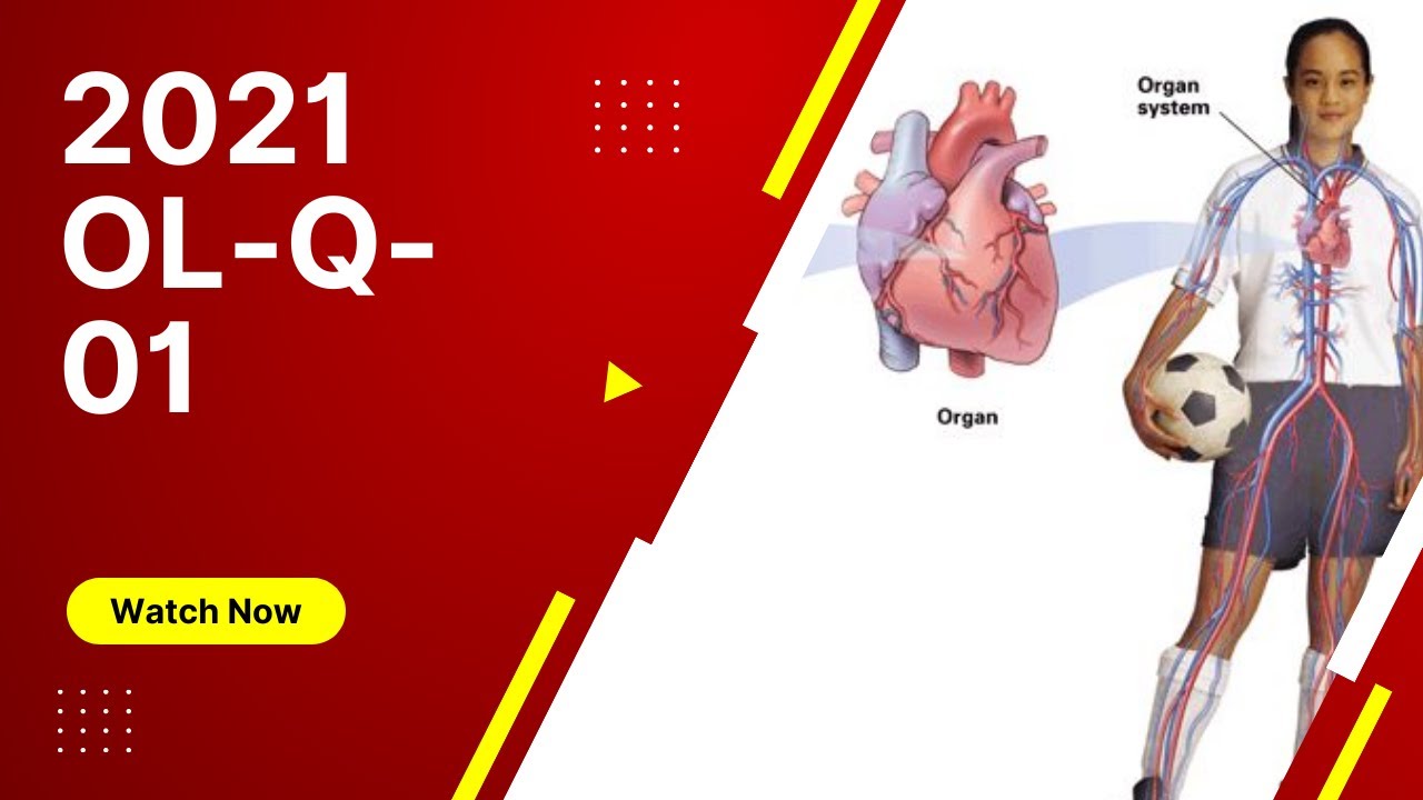 2021 OL Science paper answers-MCQ answers-Question number 01 - YouTube