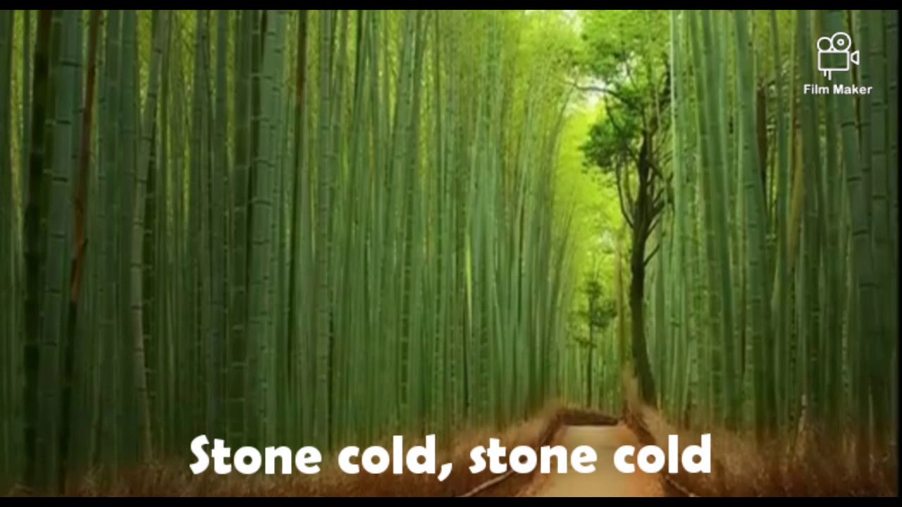 Stone Cold-Demi Lovat(lyrics) - YouTube