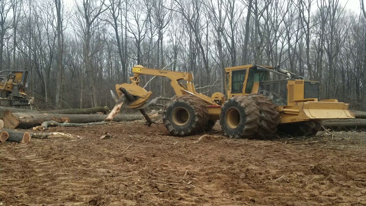 Mexican swamp loggers - YouTube