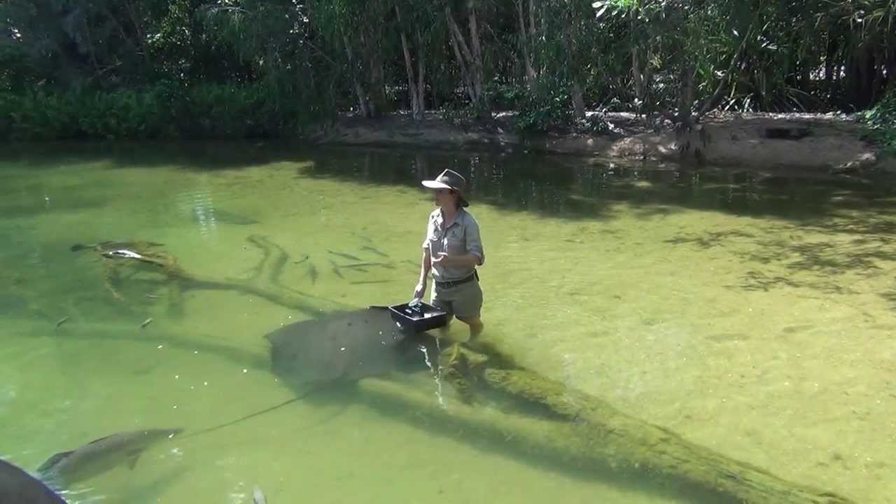 Oolloo Sandbar Experiance - Territory Wildlife Park Darwin NT Australia ...
