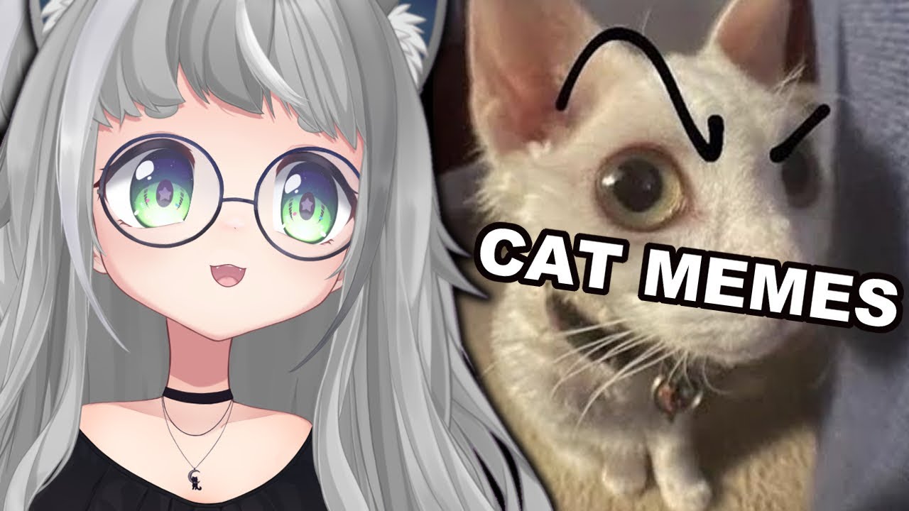 CATS CATS & MORE CATS | Vtuber Fuwa Reacts to DISCORD CAT MEMES COMPILATION - YouTube